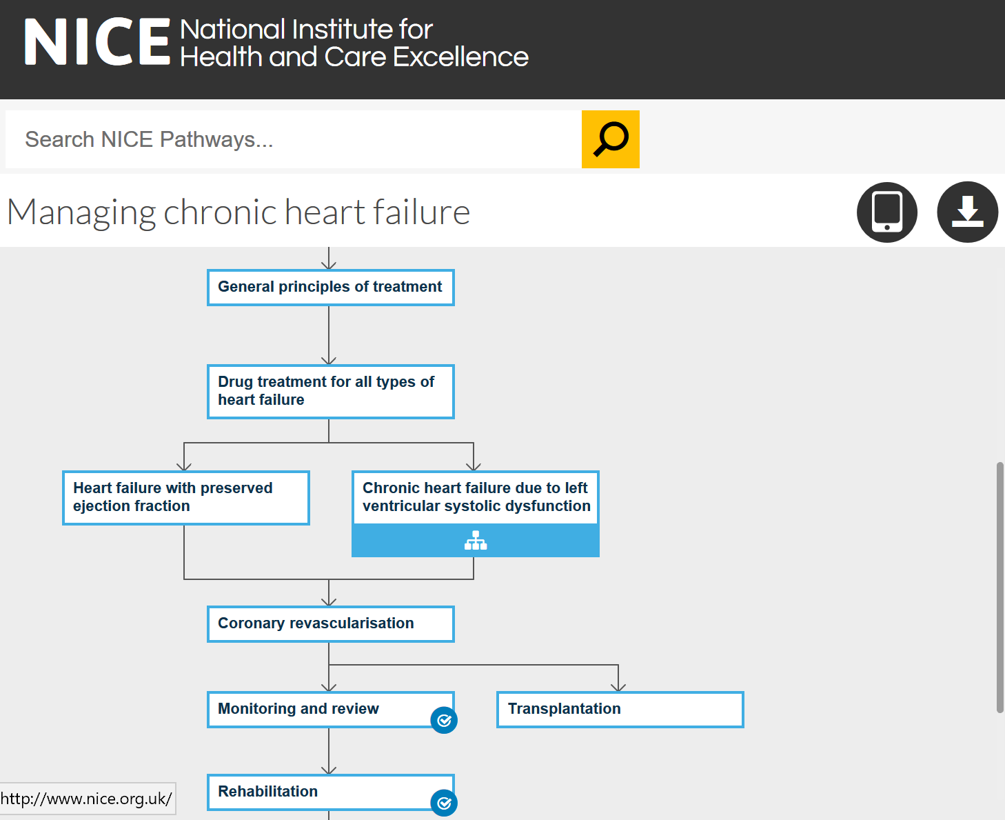 nice_chf_pathway | Woland's cat